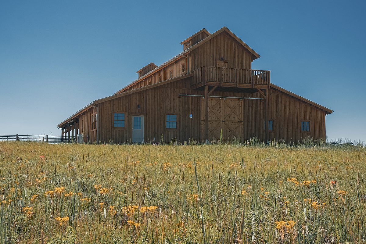 Timberlyne | The Falcon Barn