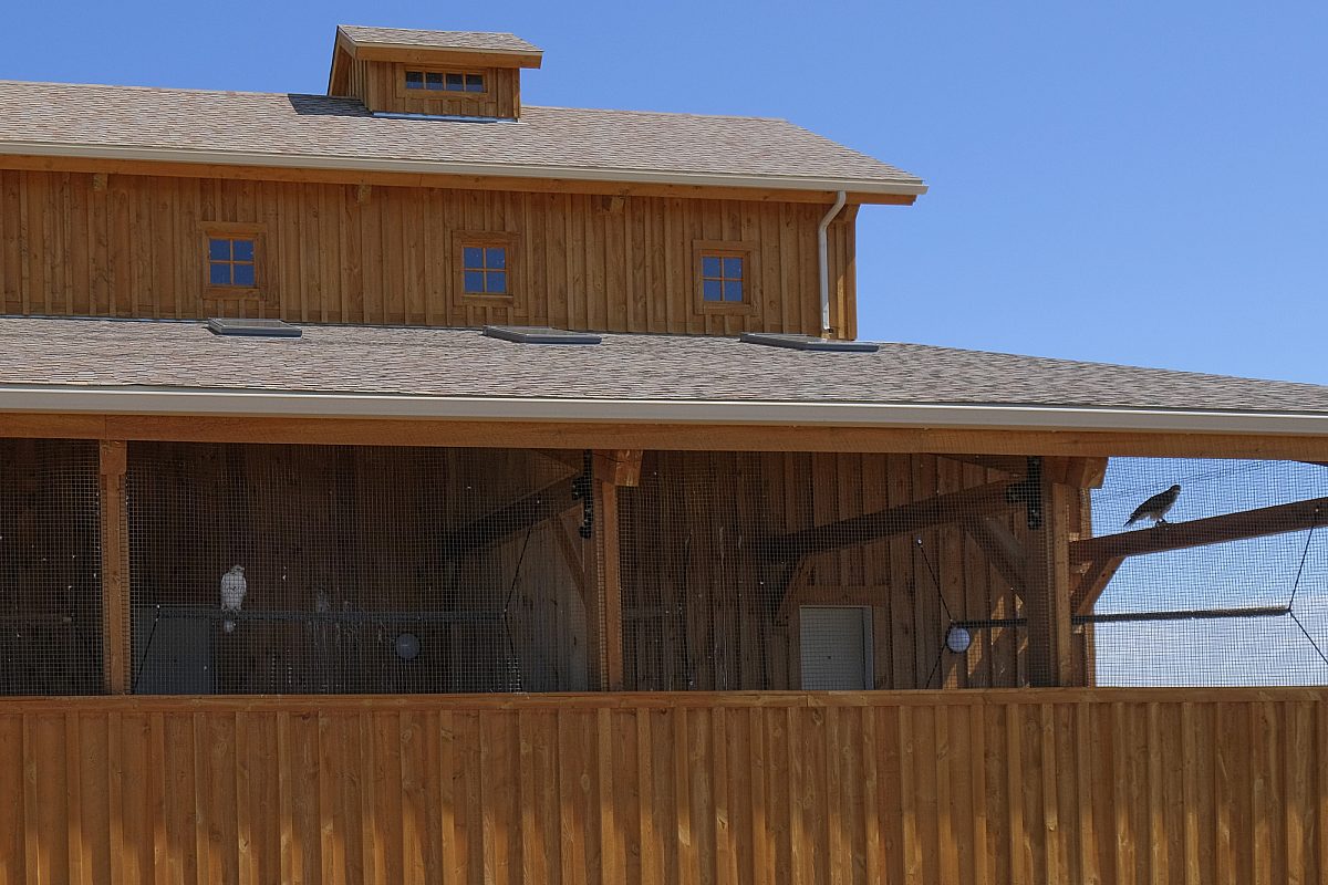 Timberlyne | The Falcon Barn