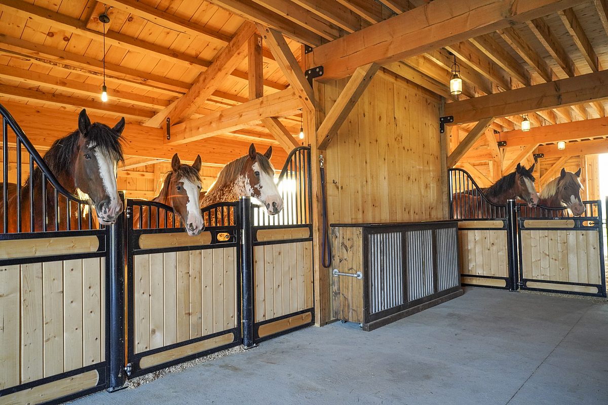 Timberlyne | Clydesdale Outpost Barn