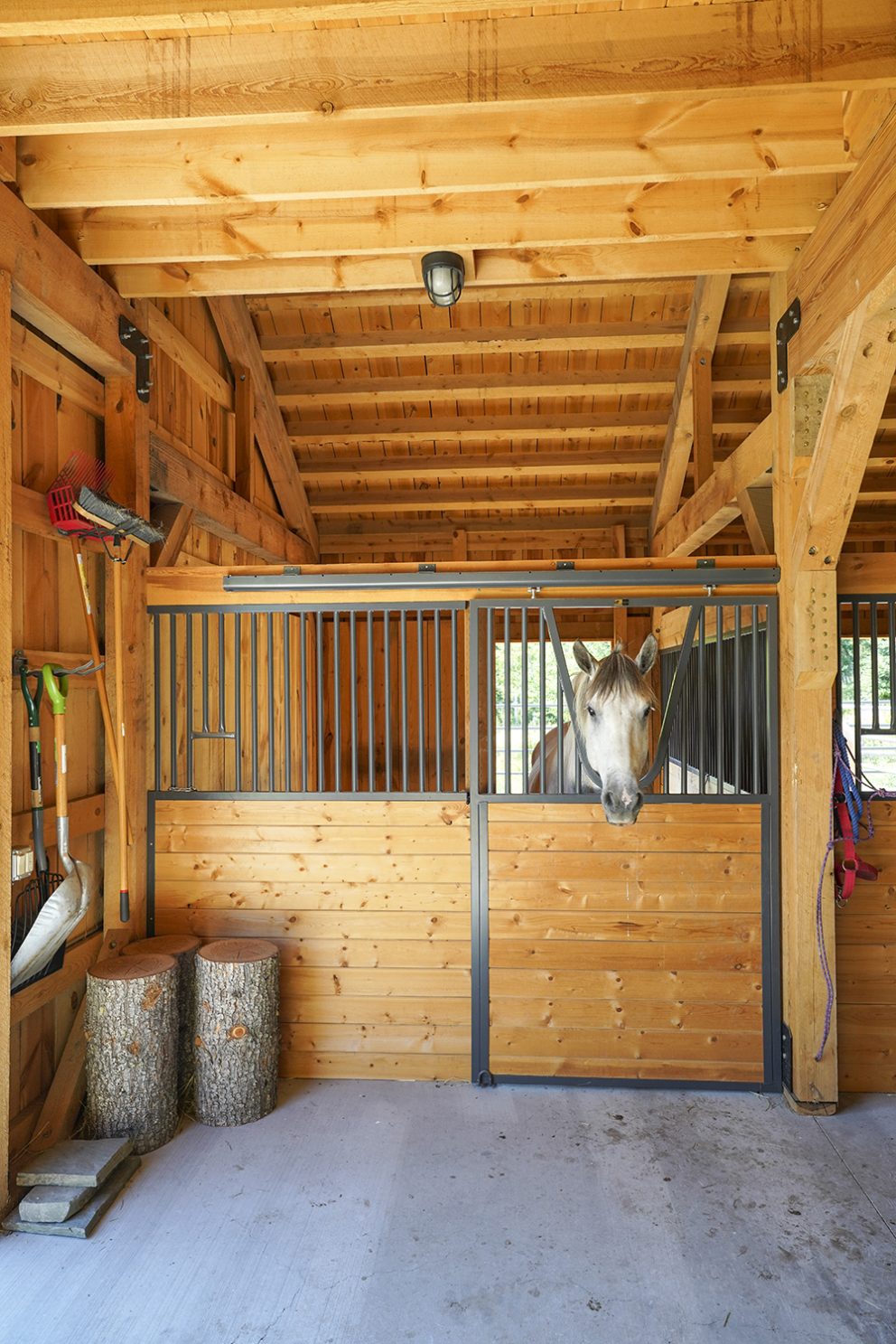 Timberlyne | Rocky Mountain Horse Barn