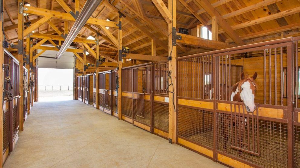 Timberlyne | The Grandfather