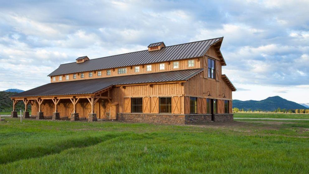 Timberlyne | The Icon