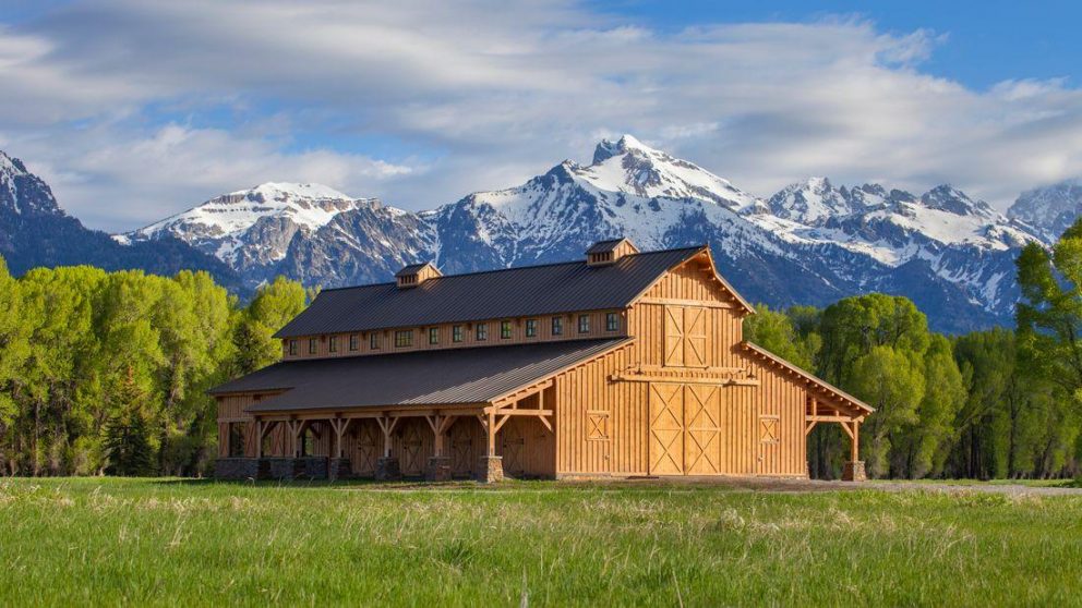 Timberlyne | The Icon