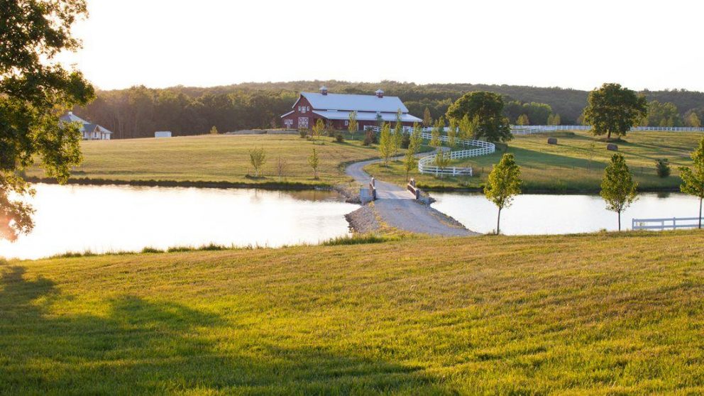 Timberlyne | Sprawling Red