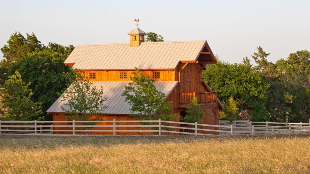 Timberlyne | Ten-Gallon Texas