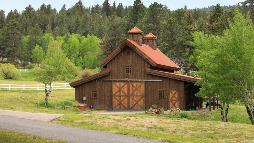 Timberlyne | Authentic Colorado