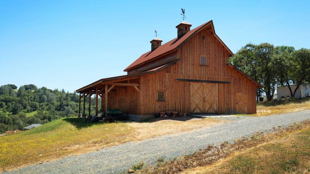 Timberlyne | Rolling Hills