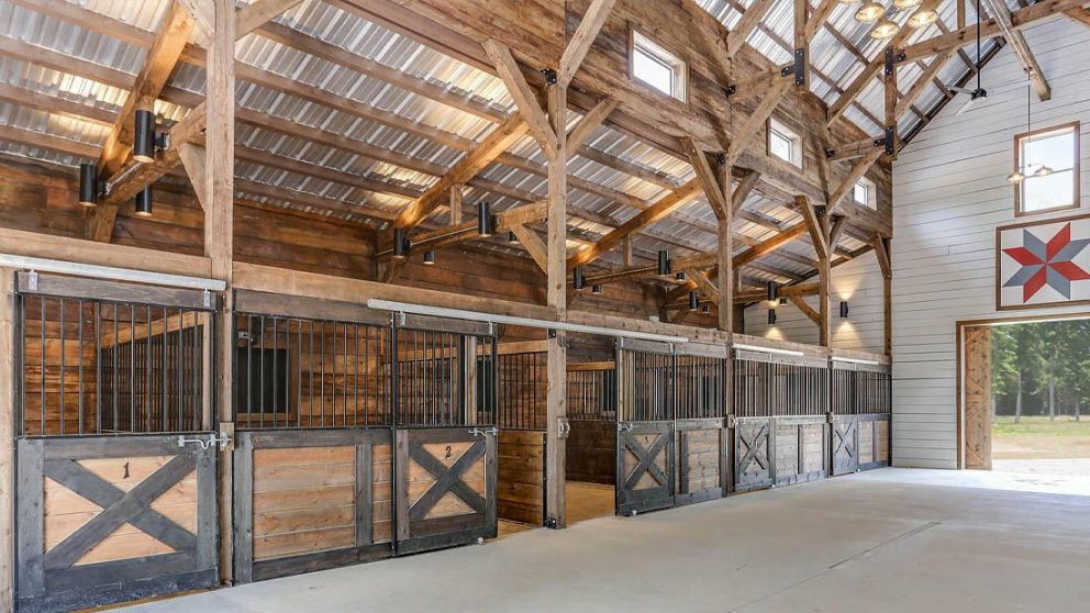 Timberlyne | My Blue Haven