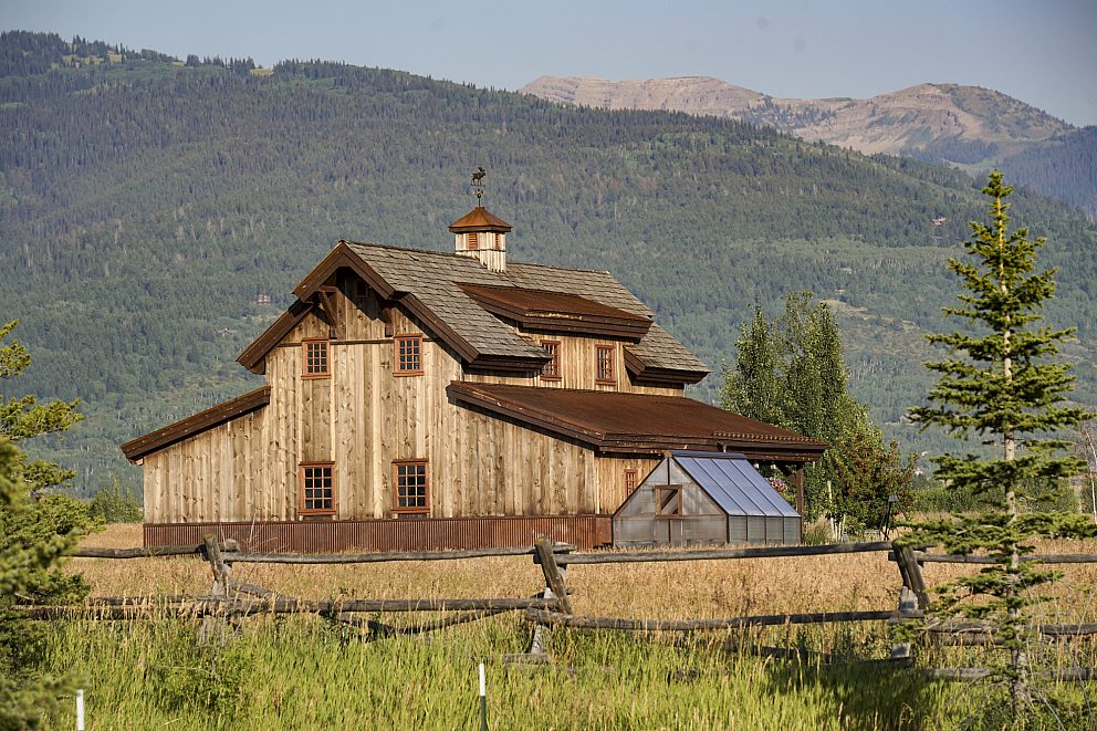 Timberlyne | Backyard Garden Oasis