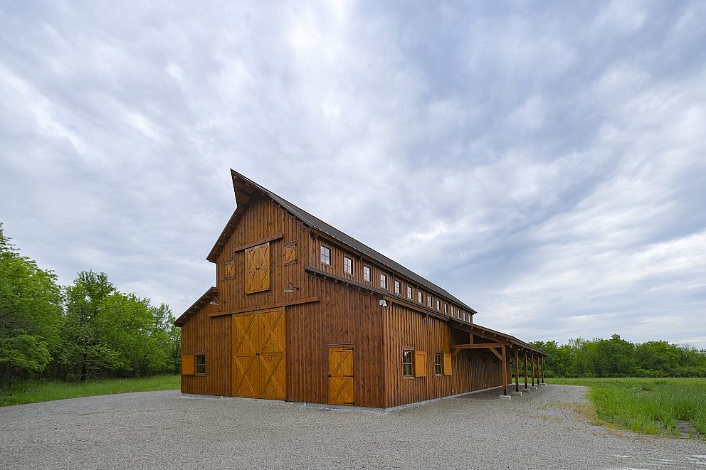 Timberlyne | Midwest Family Farm