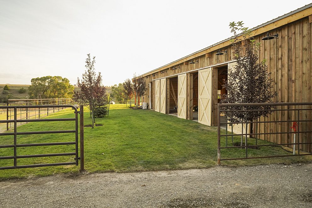 Timberlyne | Horse Arena